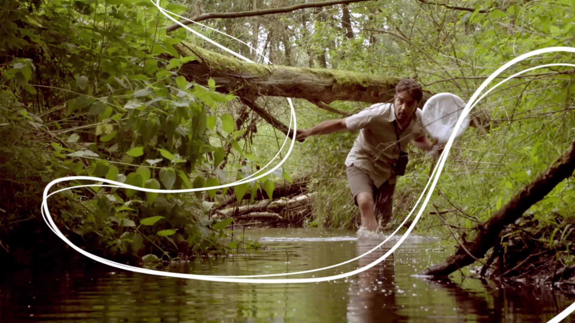 Ontdek samen met Aquafin en Natuurpunt leven in en onder water - Week ...